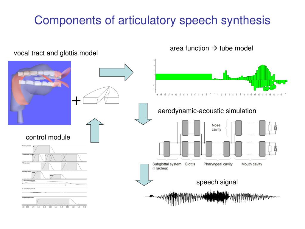 PPT - Perspectives for Articulatory Speech Synthesis PowerPoint ... PPT - Perspectives for Articulatory Speech Synthesis PowerPoint ...