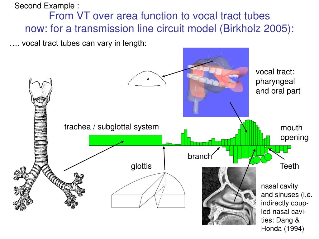 PPT - Perspectives for Articulatory Speech Synthesis PowerPoint ... PPT - Perspectives for Articulatory Speech Synthesis PowerPoint ...