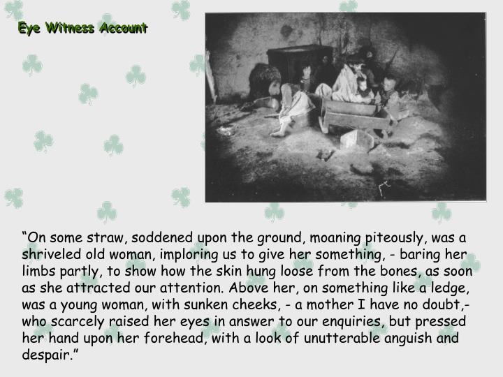 PPT - The Great Famine in Ireland PowerPoint Presentation - ID:4510450