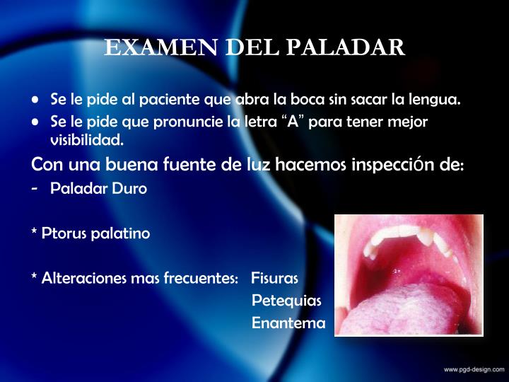 PPT - EXPLORACION DEL PACIENTE OTORRINOLARINGOLOGICO PowerPoint ...