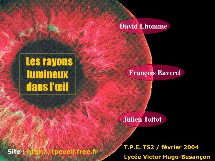 PPT - Les rayons lumineux dans l’œil PowerPoint Presentation, free ...