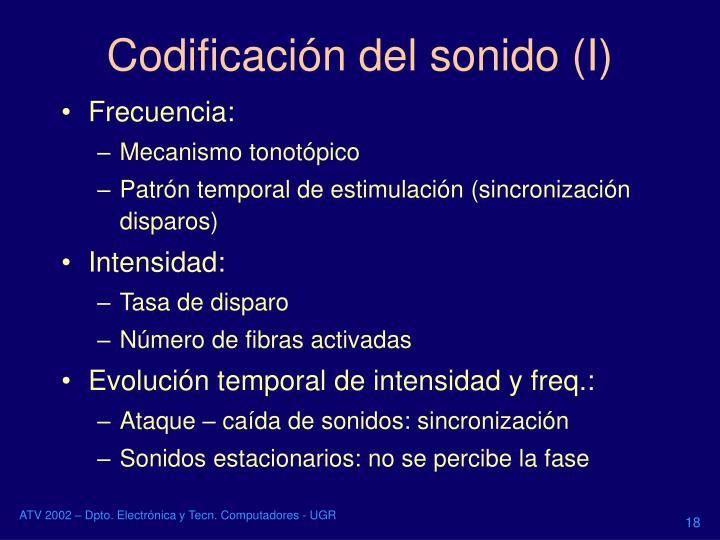 PPT - Fisiología de la audición PowerPoint Presentation - ID:4511511