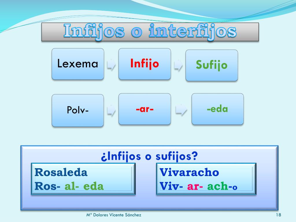 PPT - La estructura de las palabras PowerPoint Presentation, free ...