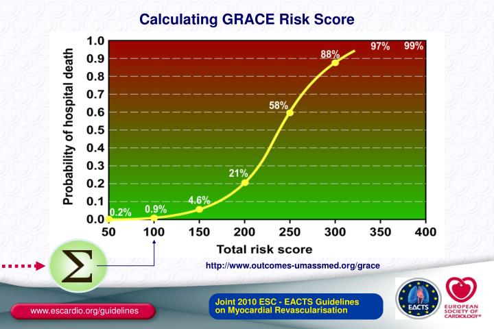 PPT - How to use the SYNTAX Score and other Anatomic and Clinical Risk ...