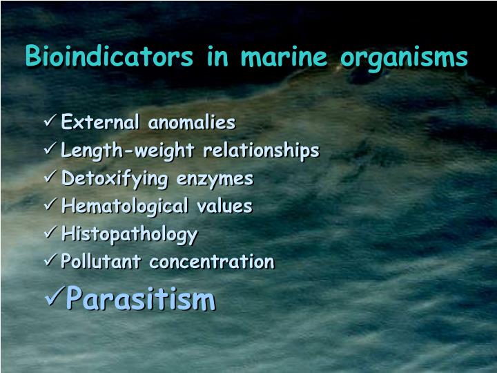 PPT - Parasites of commercial fish es as bioindicators of marine ...