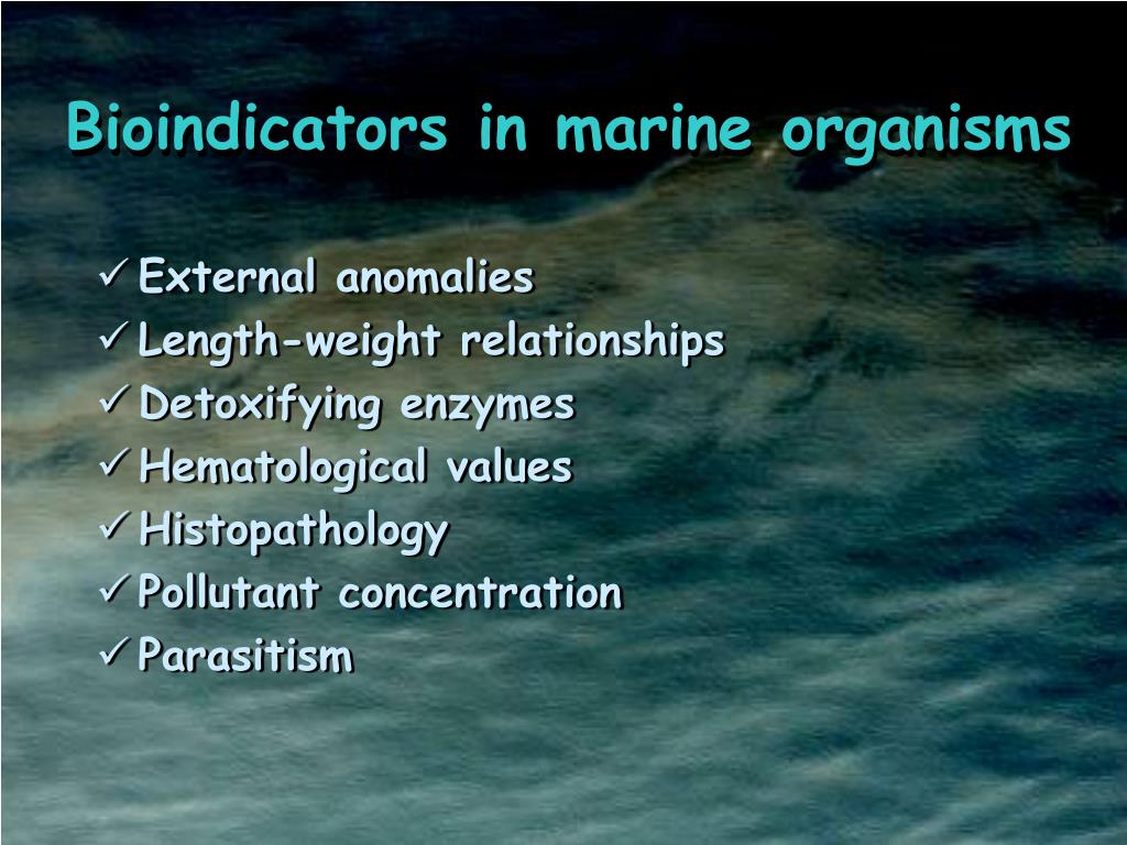 PPT - Parasites of commercial fish es as bioindicators of marine ...