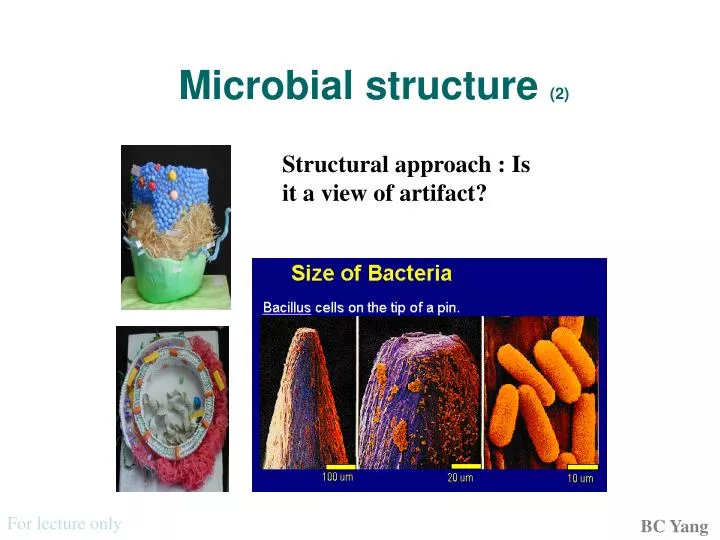 PPT - Microbial structure (2) PowerPoint Presentation, free download ...