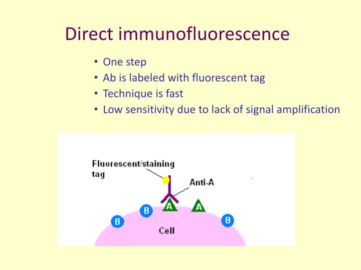 PPT - Immunohistochemistry: techniques and considerations PowerPoint ...