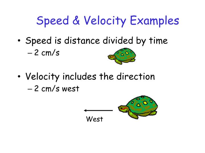 PPT - Motion: Speed, Velocity, Acceleration, and Forces PowerPoint ...