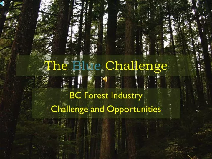 PPT - The Blue Challenge PowerPoint Presentation, free download - ID ...
