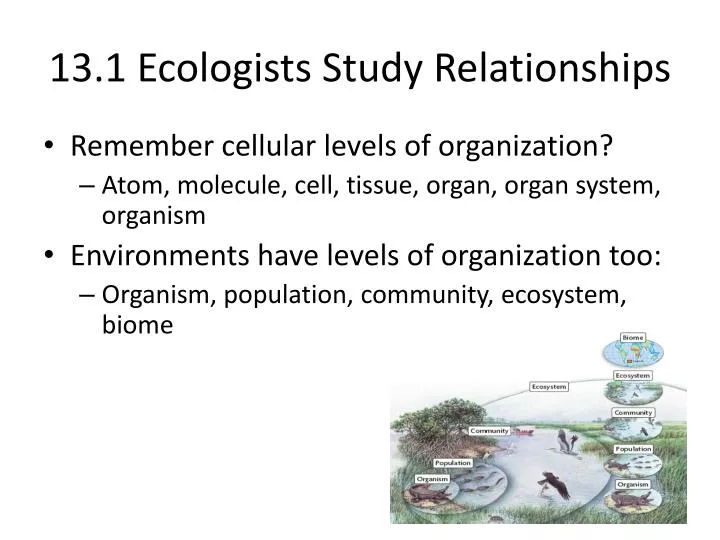 PPT - 13.1 Ecologists Study Relationships PowerPoint Presentation, free ...