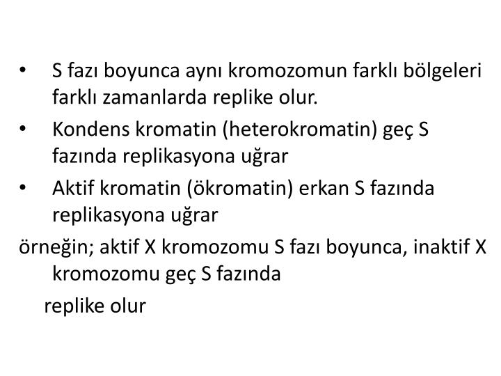 PPT - DNA REPLİKASYONU PowerPoint Presentation - ID:4521972