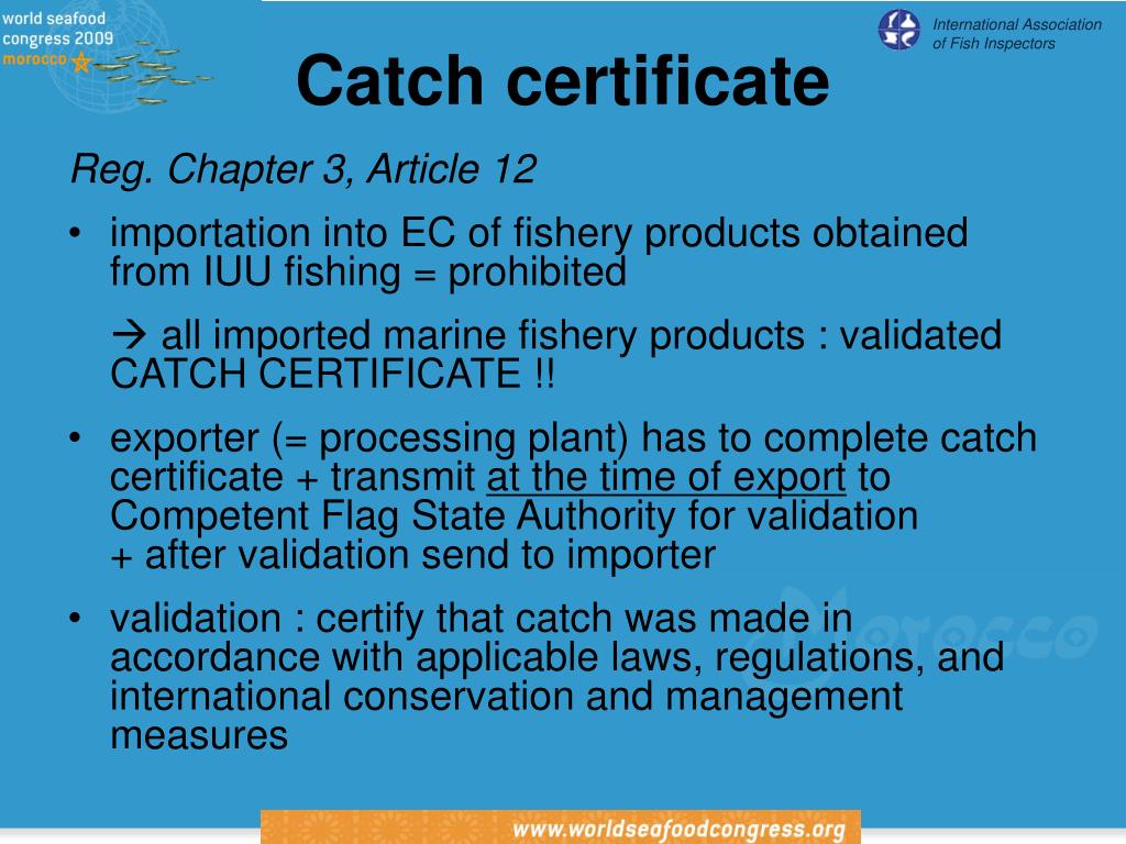 PPT - TRADE REGULATIONS – HELP OR HINDRANCE ? PowerPoint Presentation ...