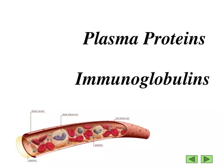 PPT - Plasma Proteins PowerPoint Presentation, free download - ID:4523446