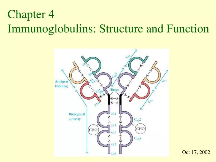 PPT - Chapter 4 Immunoglobulins: Structure and Function PowerPoint ...