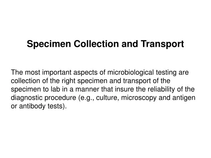 PPT - Specimen Collection and Transport PowerPoint Presentation, free ...