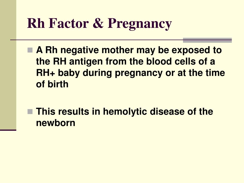 PPT - Blood – The River of Life PowerPoint Presentation, free download ...