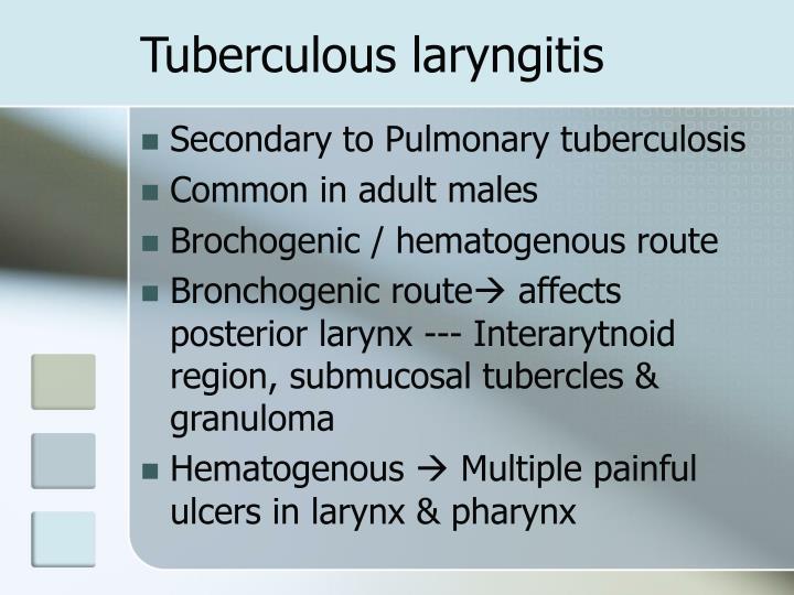 PPT - Chronic laryngitis PowerPoint Presentation - ID:4527929