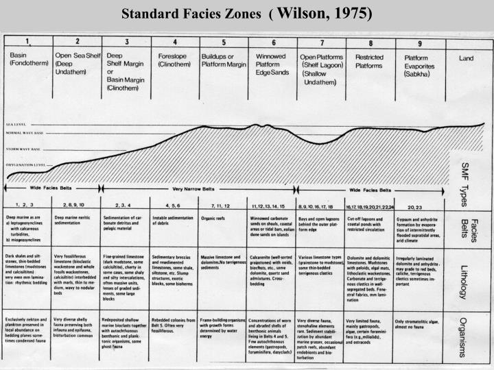 PPT - Carbonate sediments, facies, & depositional environments ...