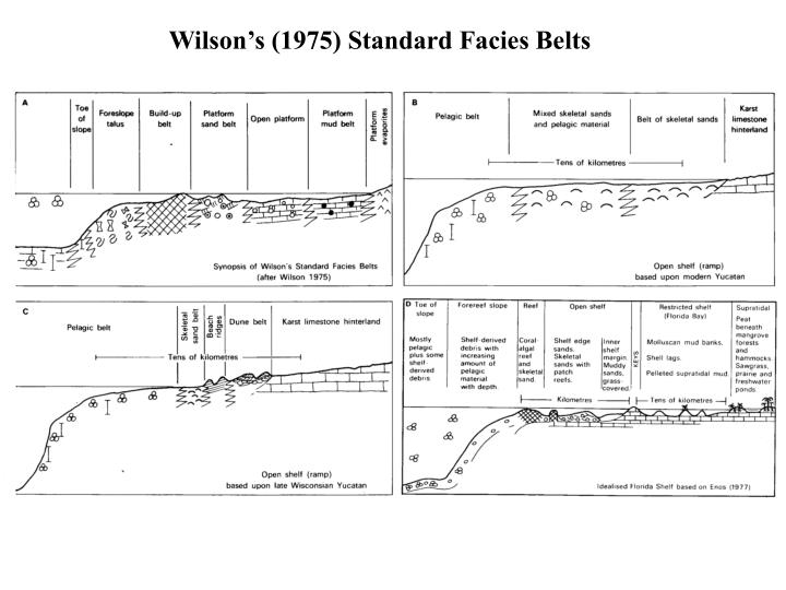 PPT - Carbonate sediments, facies, & depositional environments ...