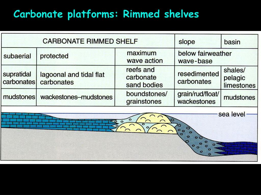 PPT - Carbonate sediments, facies, & depositional environments ... PPT - Carbonate sediments, facies, & depositional environments ...