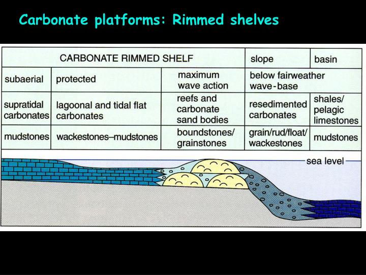 PPT - Carbonate sediments, facies, & depositional environments ... PPT - Carbonate sediments, facies, & depositional environments ...
