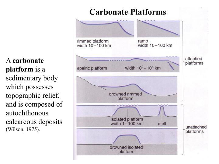 PPT - Carbonate sediments, facies, & depositional environments ... PPT - Carbonate sediments, facies, & depositional environments ...