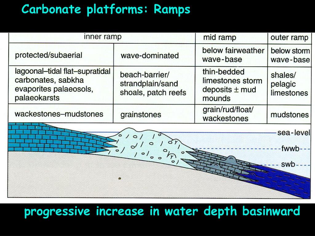 PPT - Carbonate sediments, facies, & depositional environments ... PPT - Carbonate sediments, facies, & depositional environments ...