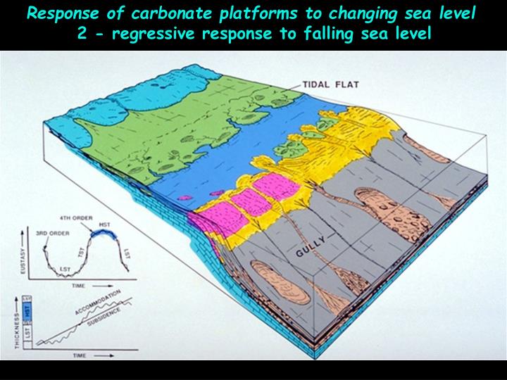 PPT - Carbonate sediments, facies, & depositional environments ...