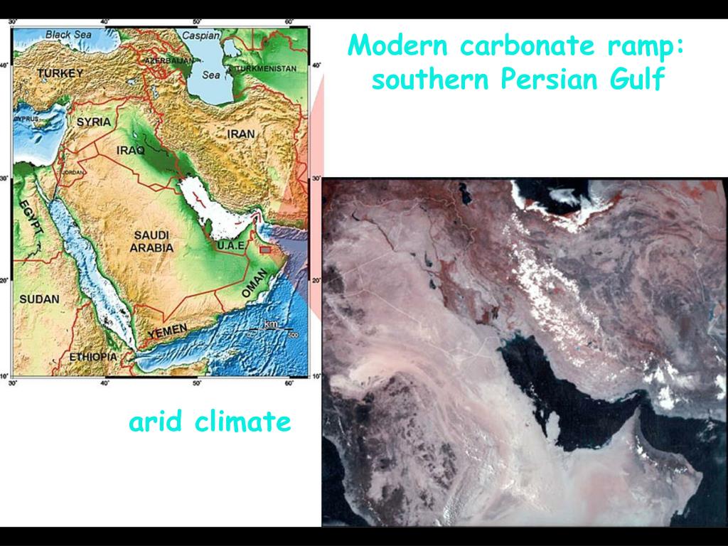 PPT - Carbonate sediments, facies, & depositional environments ... PPT - Carbonate sediments, facies, & depositional environments ...