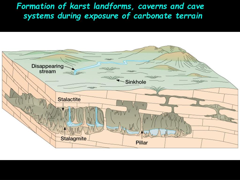 PPT - Carbonate sediments, facies, & depositional environments ... PPT - Carbonate sediments, facies, & depositional environments ...