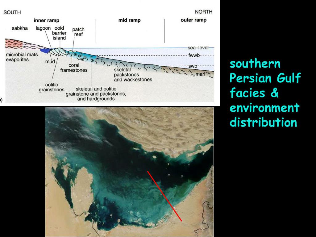 PPT - Carbonate sediments, facies, & depositional environments ... PPT - Carbonate sediments, facies, & depositional environments ...