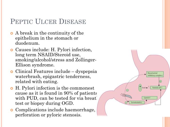 PPT - UPPER GI BLEED PowerPoint Presentation - ID:4528854