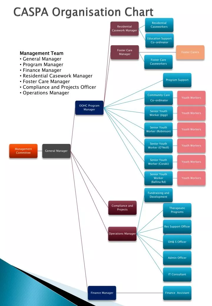 PPT - CASPA Organisation Chart PowerPoint Presentation, free download ...