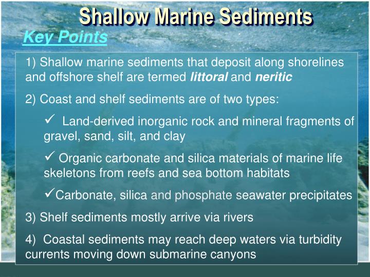 PPT - Marine Sediments Origin, Composition, and Distribution PowerPoint ...