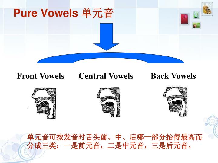 PPT - Vowels: Back Vowels PowerPoint Presentation - ID:4530547