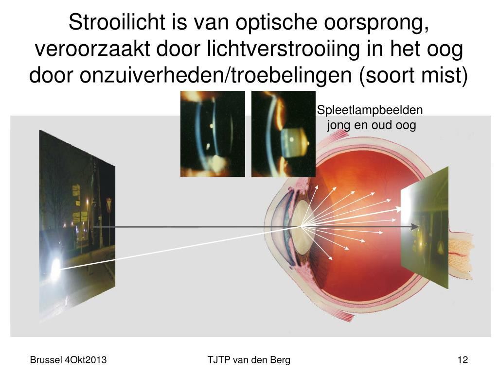 PPT - Verblinding en Strooilicht Tom van den Berg, natuurkundige ...
