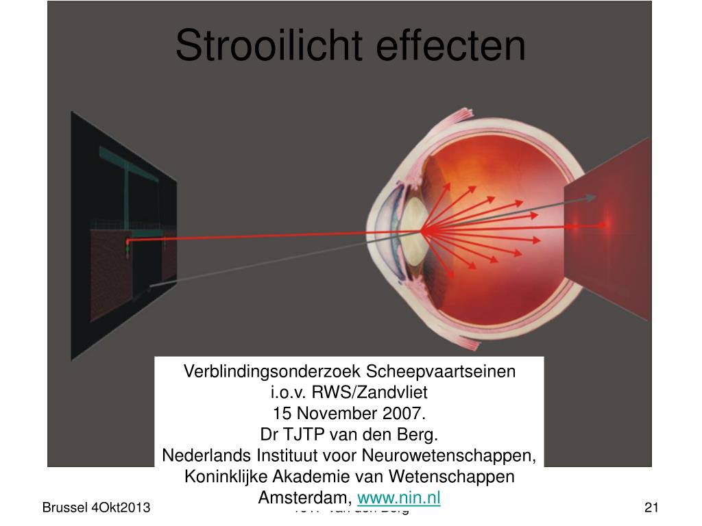 PPT - Verblinding en Strooilicht Tom van den Berg, natuurkundige ...