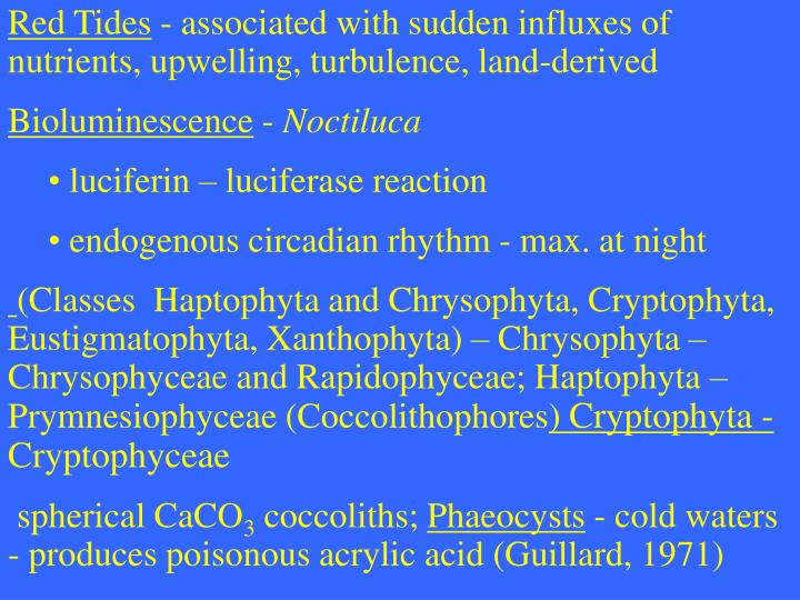 PPT - PLANKTON Holoplankton: picoplankton-