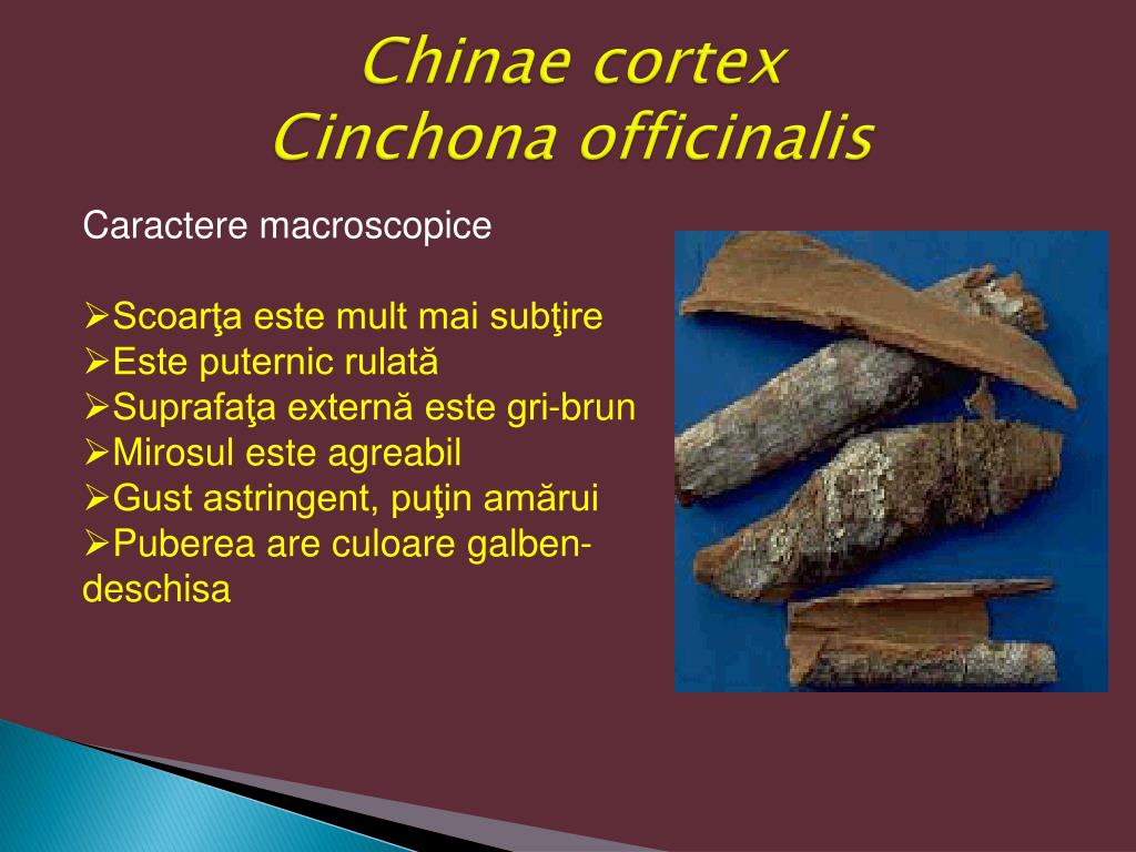 PPT - ALCALOIZI CHINOLINICI PowerPoint Presentation, free download - ID ...