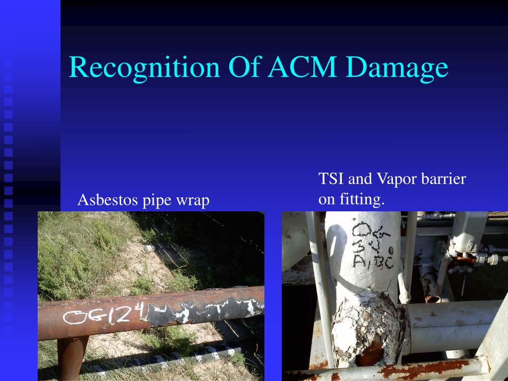 Ppt Asbestos Awareness Training Powerpoint Presentation Free