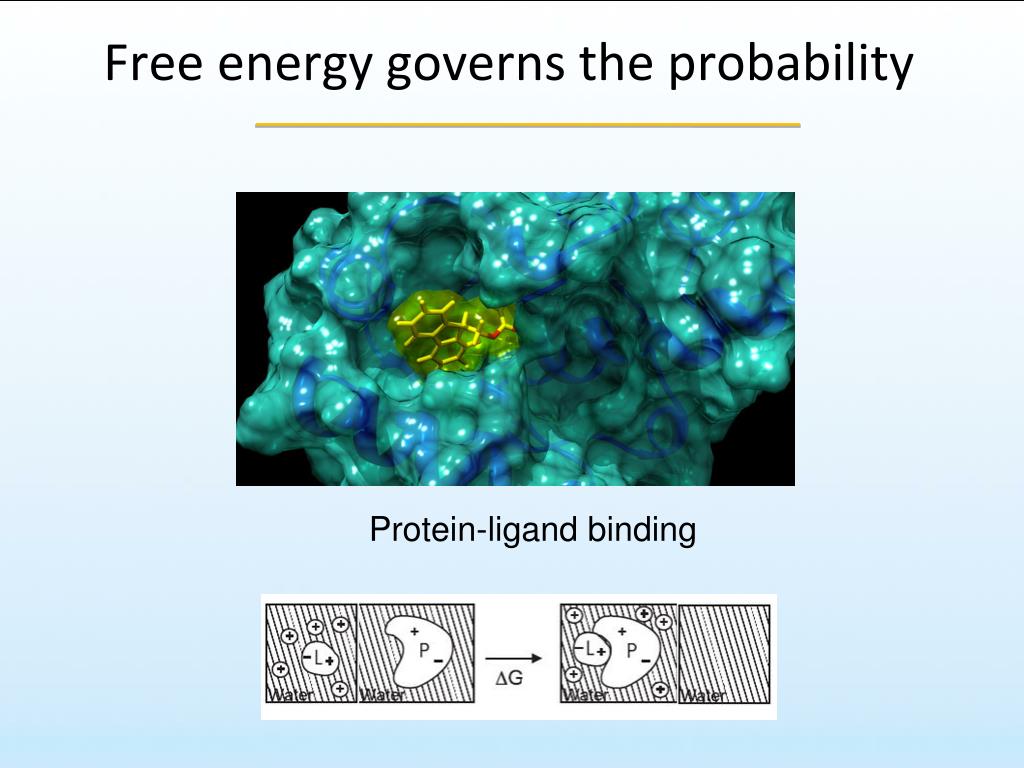 PPT - Hydration Free Energy Profiles of Amino Acid Side Chains at Water ...