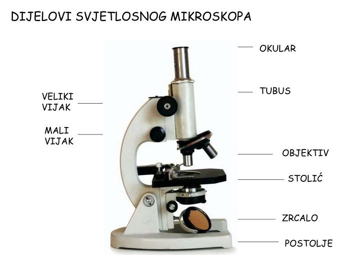 PPT - SPOZNAVANJE PRIRODE PowerPoint Presentation - ID:4532807