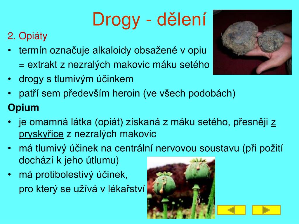 PPT - Předmět : Výchova k občanství Ročník : 7. Téma : Drogy - druhy ...