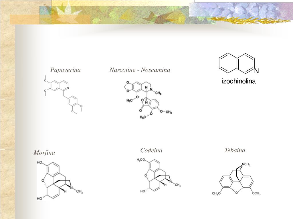 PPT - ALCALOIZI CHINOLINICI PowerPoint Presentation, free download - ID ...