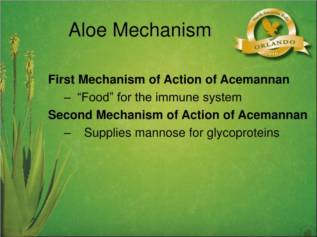 PPT - Aloe Vera: Nature’s Versatile Herb! PowerPoint Presentation, free ... PPT - Aloe Vera: Nature’s Versatile Herb! PowerPoint Presentation, free ...