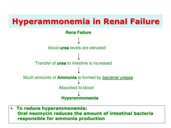 PPT - Amino Acids Metabolism : Disposal of Nitrogen PowerPoint ...