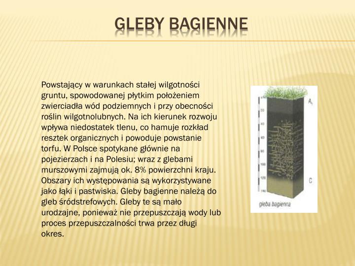 PPT - Opracował Damian Kozłowski PowerPoint Presentation - ID:4537539