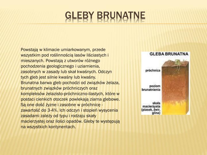 PPT - Opracował Damian Kozłowski PowerPoint Presentation - ID:4537539