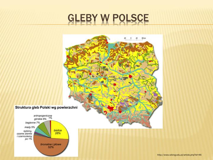PPT - Opracował Damian Kozłowski PowerPoint Presentation - ID:4537539